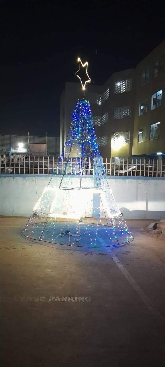 Tema Mayor brightens Metropolis with streetlights, Christmas trees ...